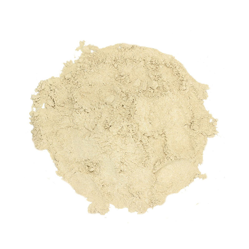 Garlic powder - Seasonings and Condiments